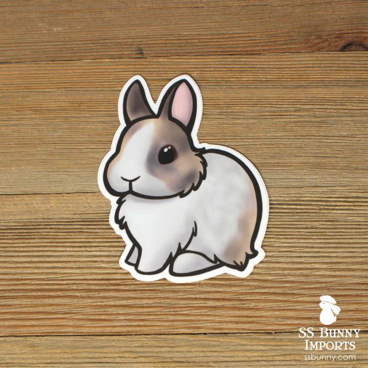 VM lilac agouti dwarf bunny sticker – SS Bunny Imports