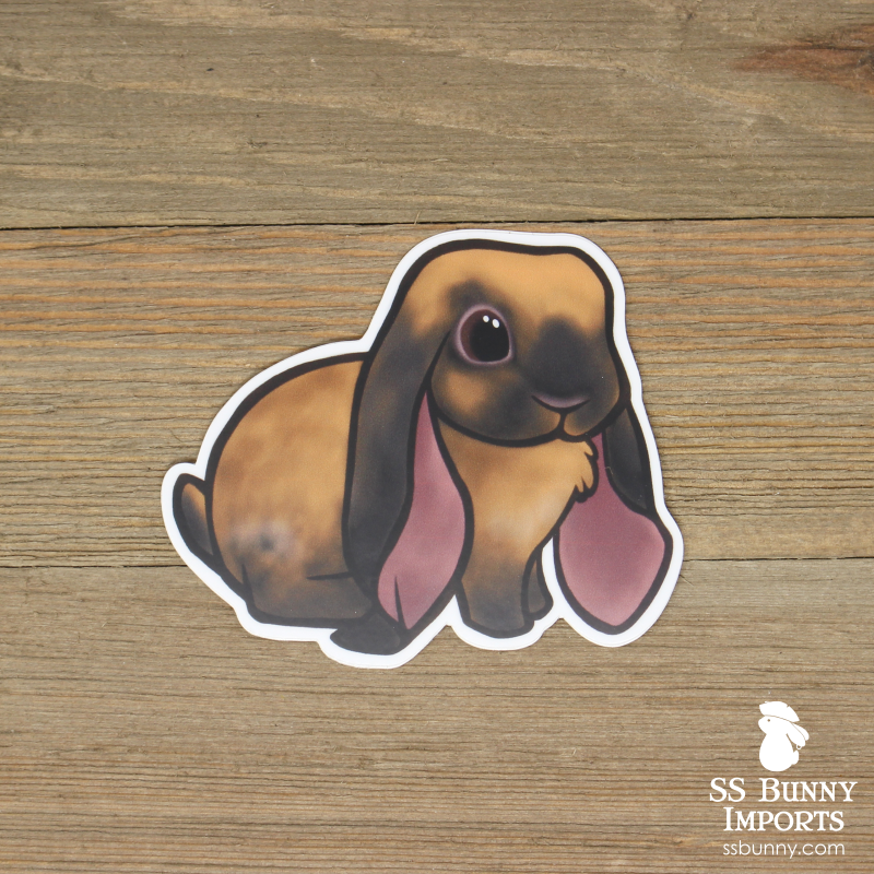 Black tort English Lop rabbit sticker – SS Bunny Imports