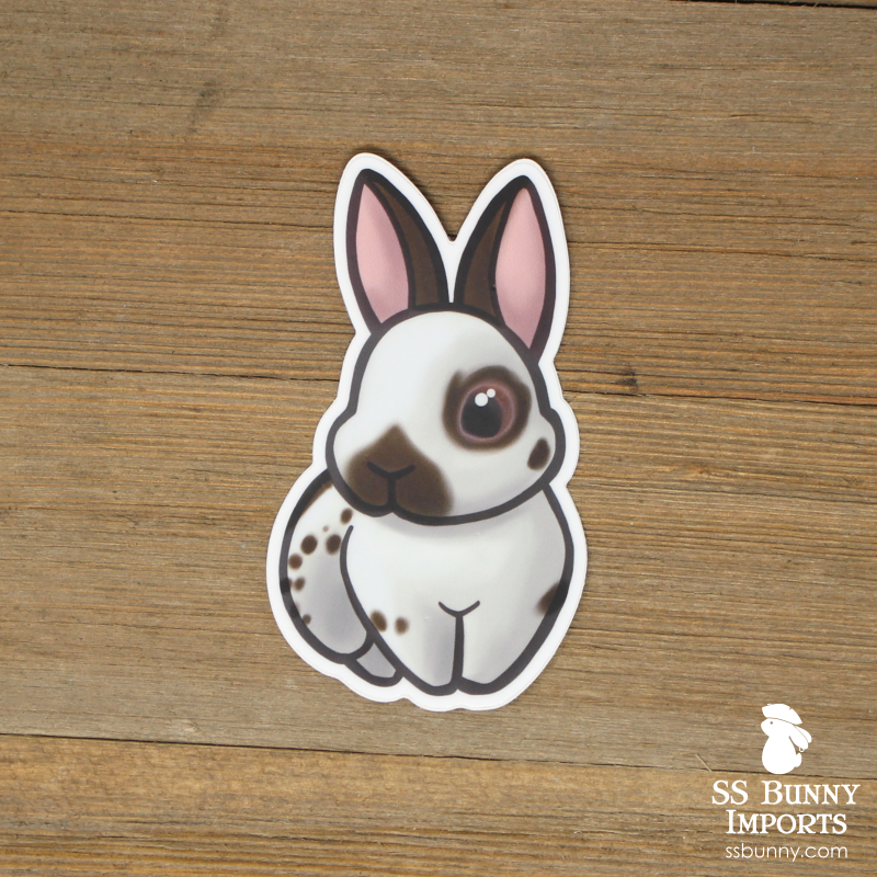Chocolate English Spot bunny sticker – SS Bunny Imports