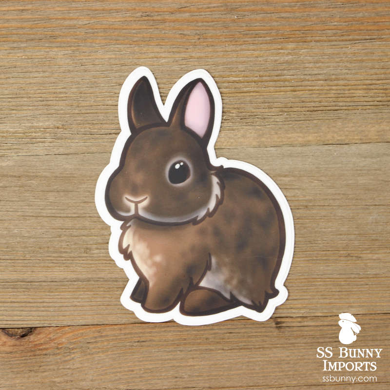 Agouti dwarf bunny sticker – SS Bunny Imports