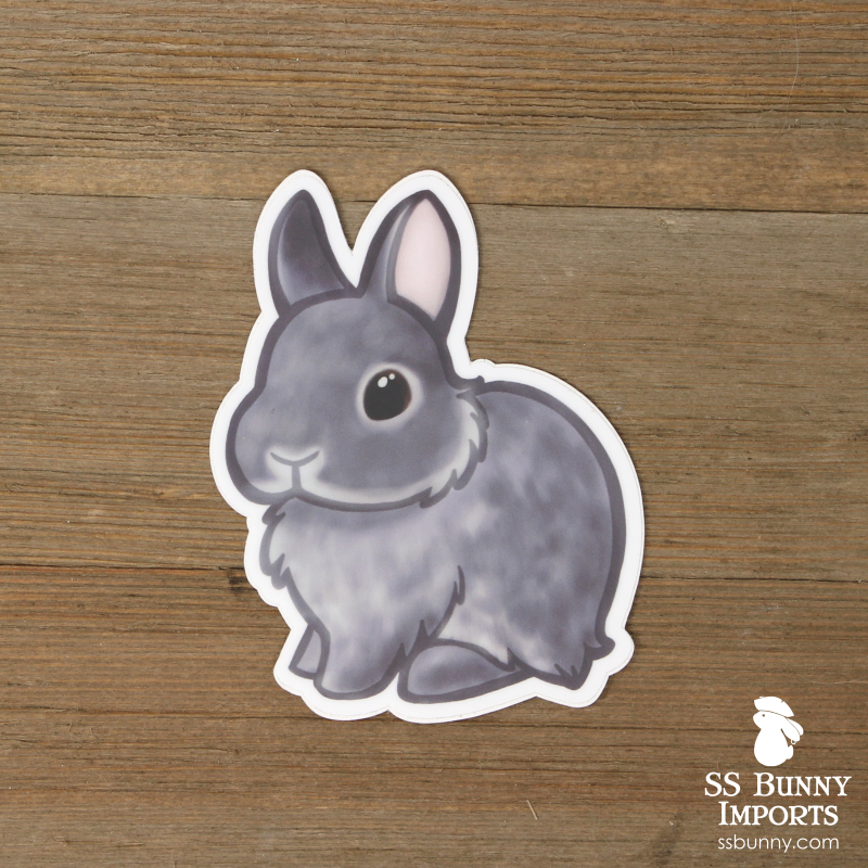 Blue chinchilla dwarf rabbit sticker – SS Bunny Imports