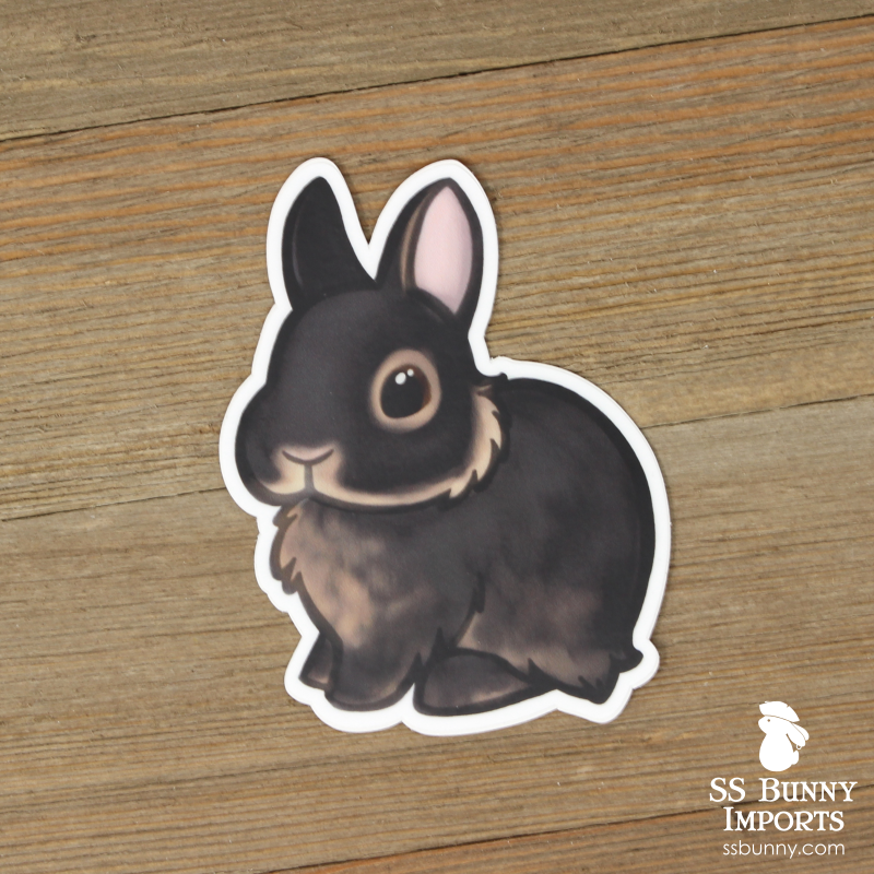 Black tan dwarf rabbit sticker – SS Bunny Imports
