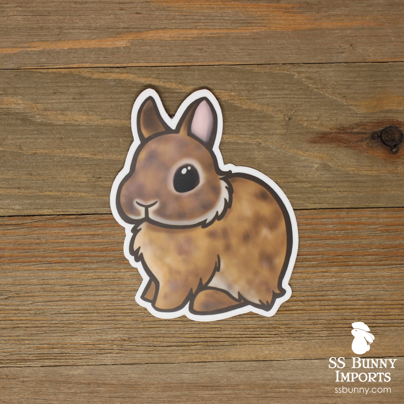 Agouti dwarf bunny sticker - Popcorn – SS Bunny Imports