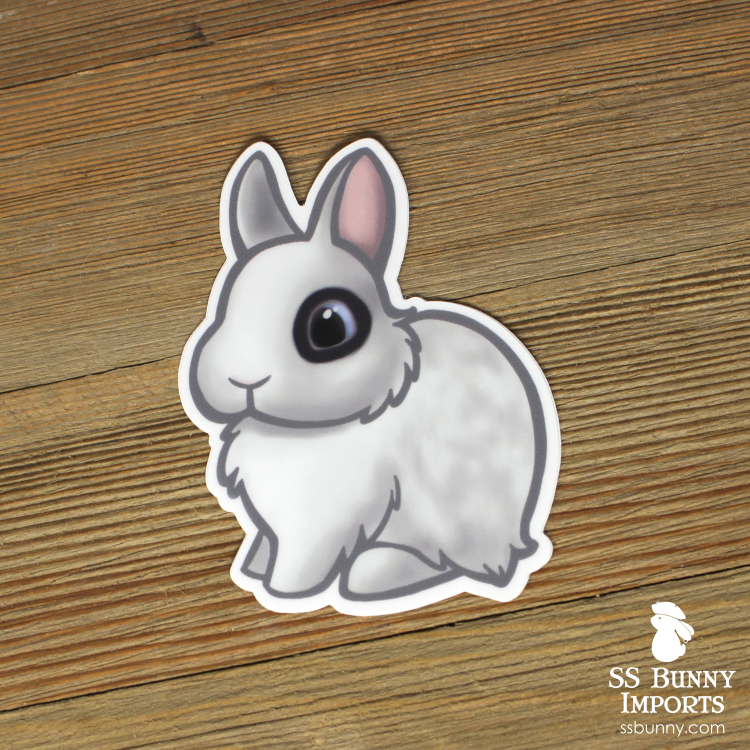 Dwarf Hotot rabbit sticker – SS Bunny Imports