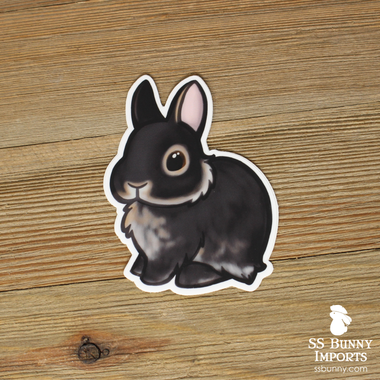 Black otter dwarf bunny sticker – SS Bunny Imports