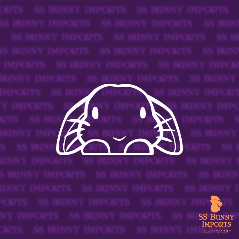 Red-eyed white lop rabbit sticker – SS Bunny Imports